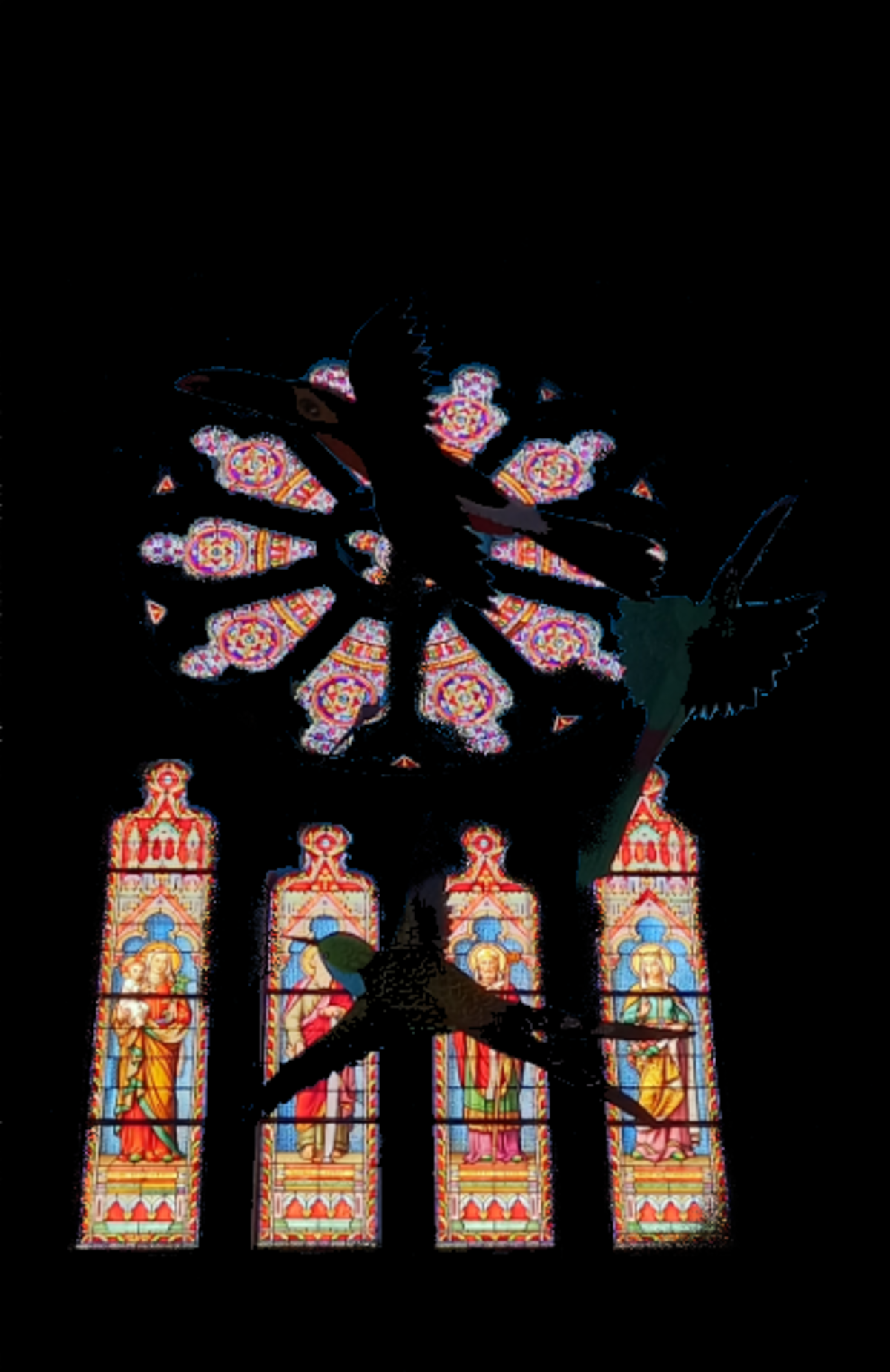 Exposition mondes & merveilles - Alain Thomas - Mairie de Henon